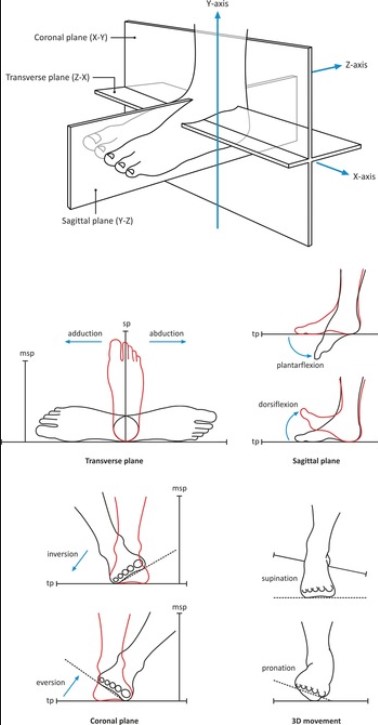 Why you need to own your foot - Restore Prehabilitation and Recovery